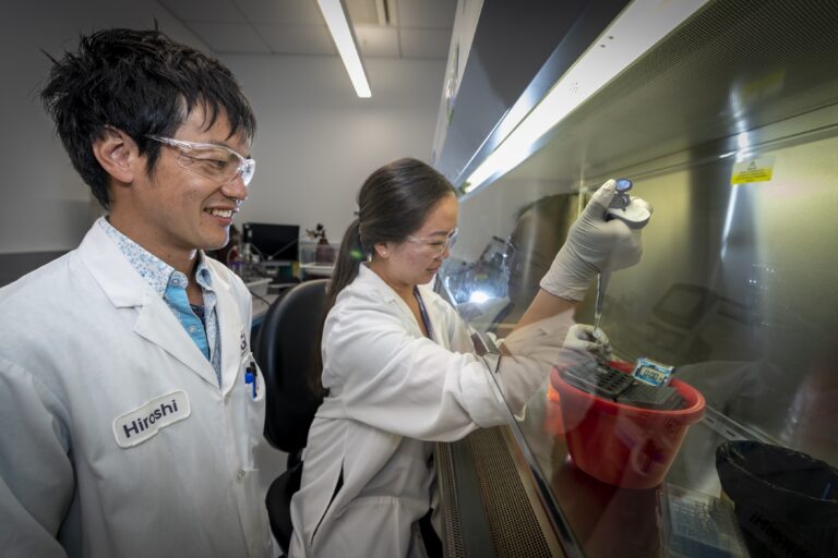 Back in the Lab: the 2023 Summer Intern Experience | Joint Genome Institute