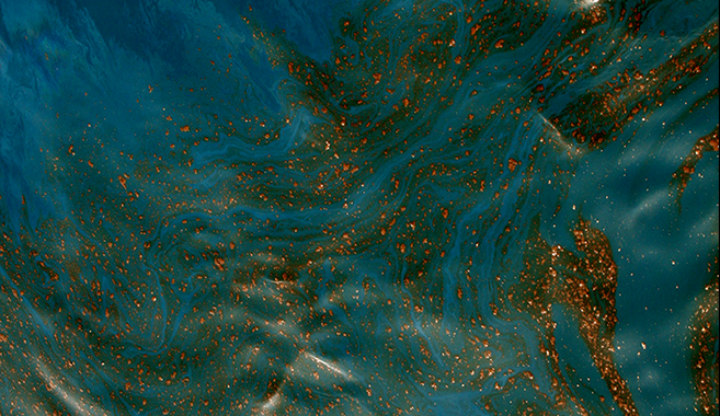 JGI@25: Solving the Mystery of the Missing Oil | Joint Genome Institute