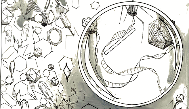 JGI@25: Expanding Metagenomics to Capture Viral Diversity | Joint ...