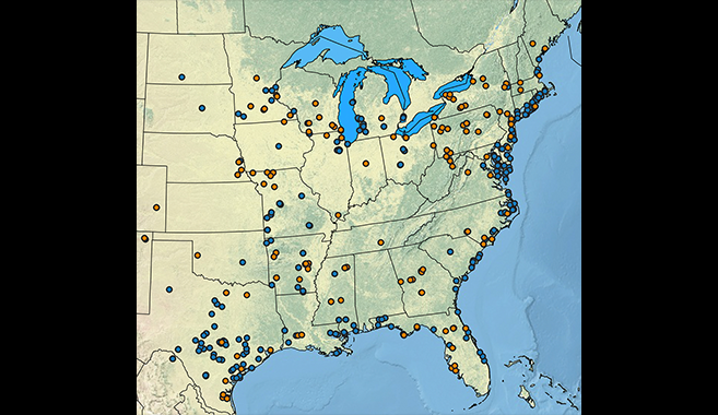 JGI@25: Mapping Switchgrass Traits with Common Gardens | Joint Genome ...