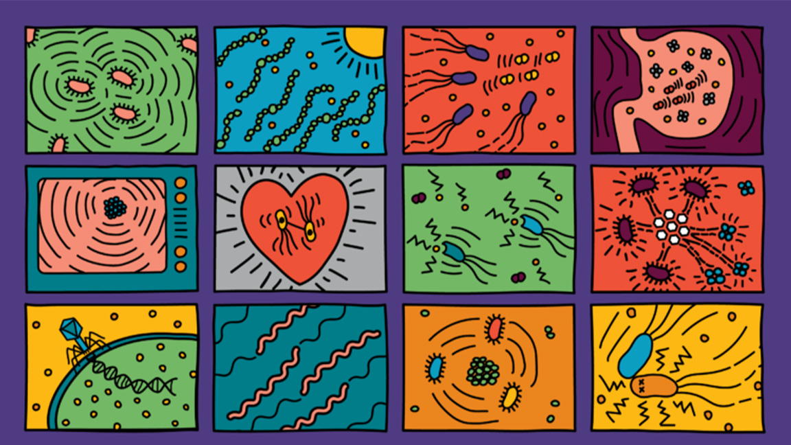 Enlarging Windows into Understanding Gene Functions | Joint Genome ...