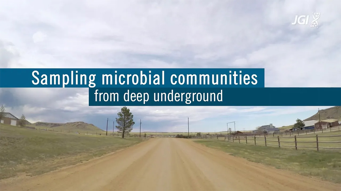 Digging into Microbial Ecosystems Deep Underground | Joint Genome Institute