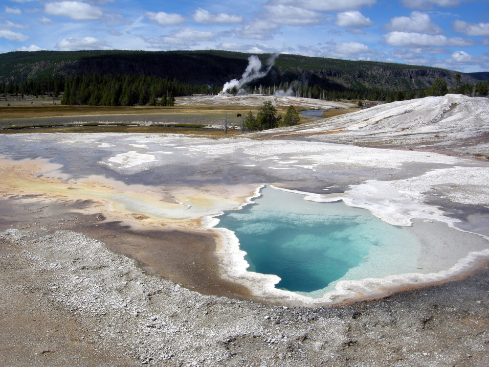 Data Discovery Tool Helps Identify Microbial Roles within Metagenomes ...