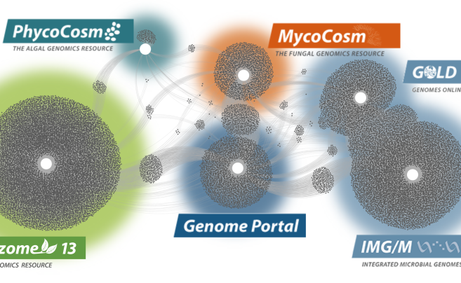 Analyze Data | Joint Genome Institute